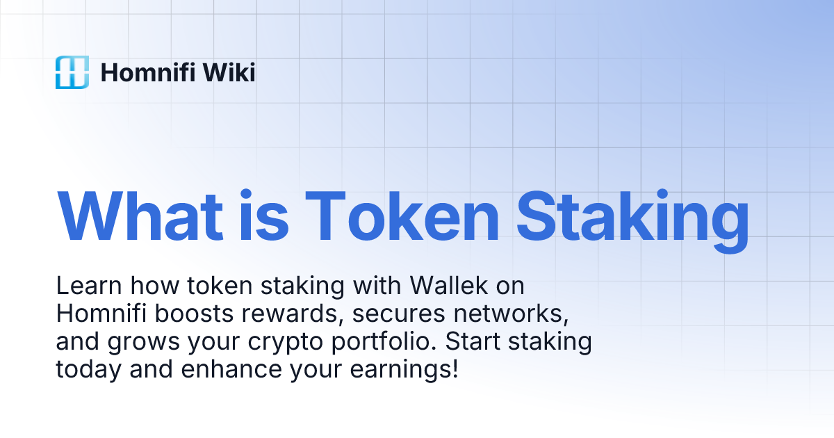 What is Token Staking | Homnifi Wiki